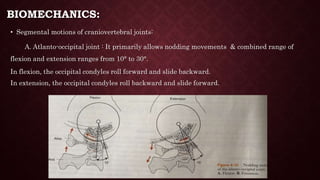 Applied Biomechanics of Cervical Spine | PPTX