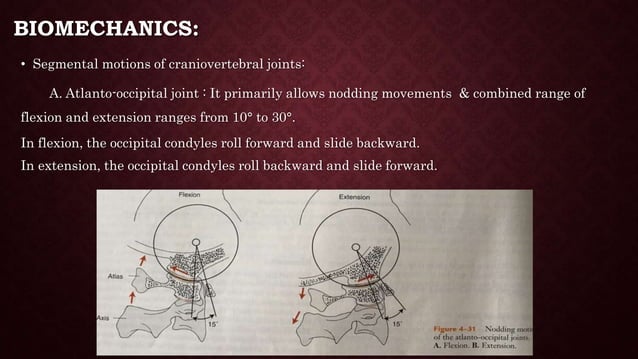 Applied Biomechanics of Cervical Spine | PPTX