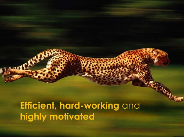 Michelle Lia Resume | PPTX | Careers