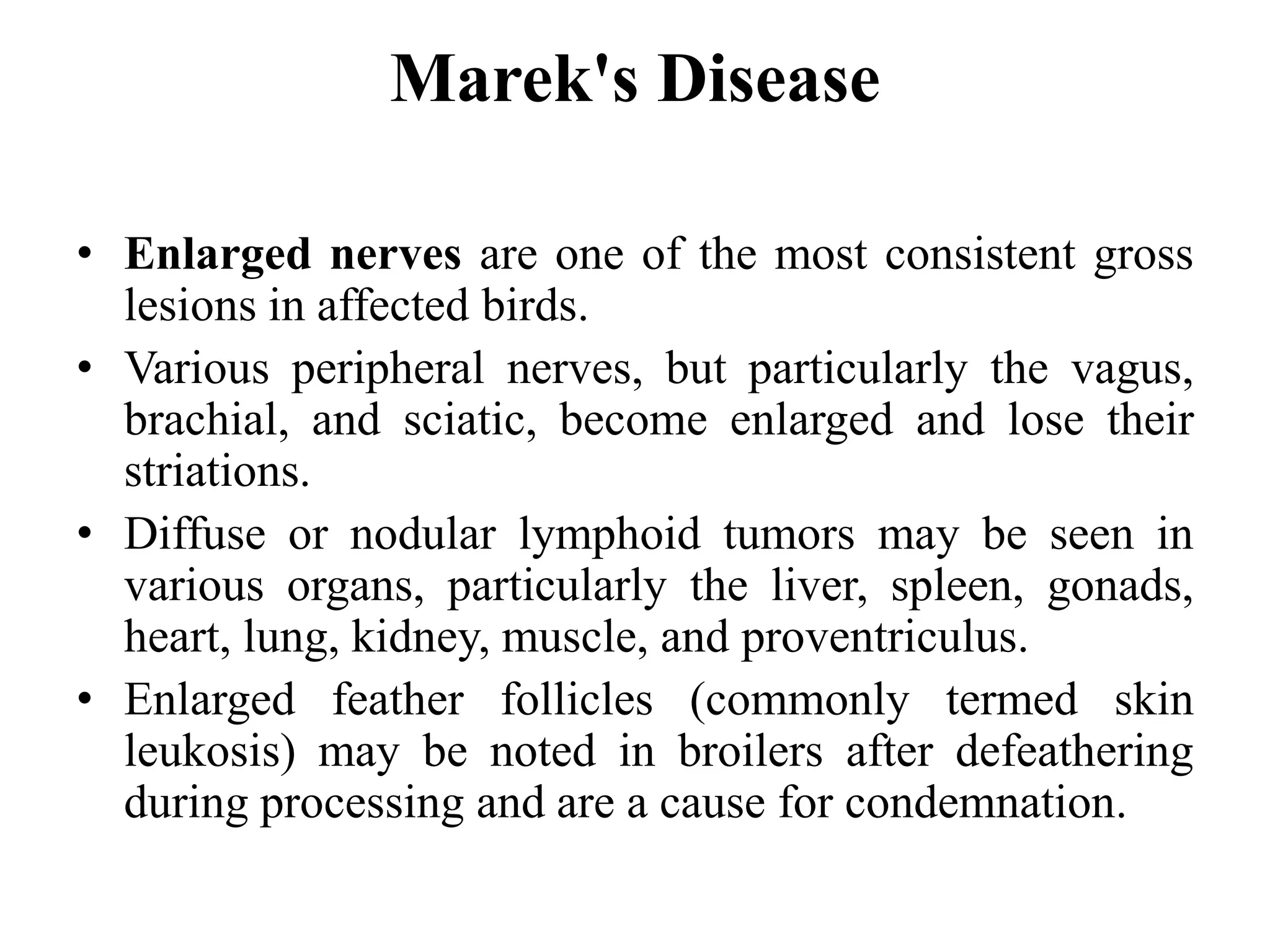 Final 1st Mareks Disease.pptx