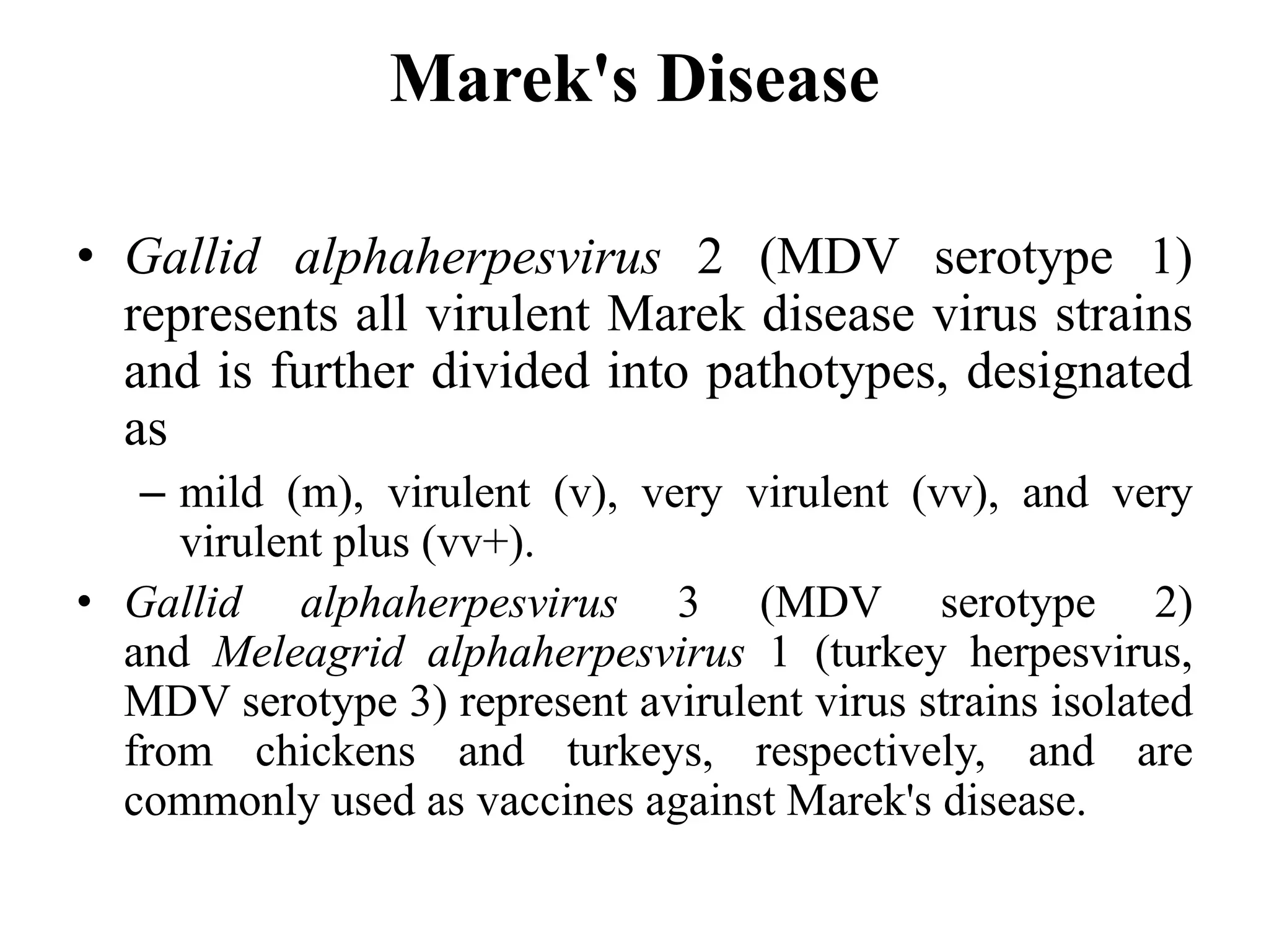 Final 1st Mareks Disease.pptx