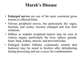 Final 1st Mareks Disease.pptx | Infectious Diseases | Diseases and ...