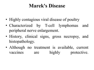 Final 1st Mareks Disease.pptx