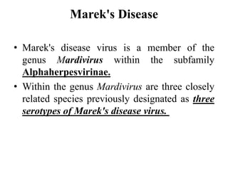 Final 1st Mareks Disease.pptx | Infectious Diseases | Diseases and ...