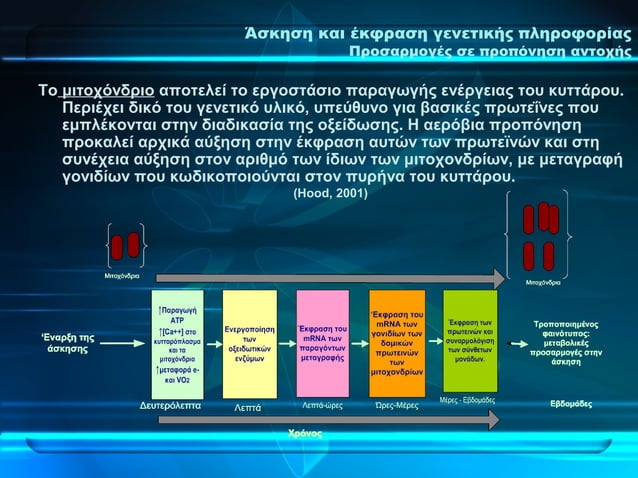 Exercise and gene expression | PPT