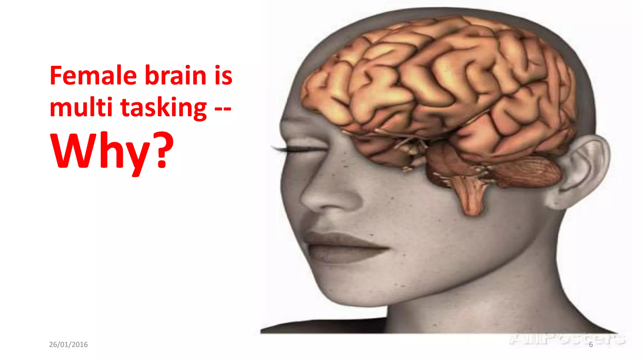 Male Brain Vs Female Brain! | PPTX