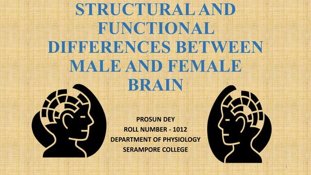 Male Brain Vs Female Brain! | PPTX