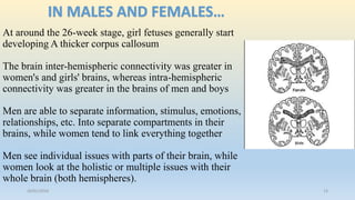 Male Brain Vs Female Brain! | PPTX