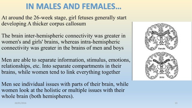 Male Brain Vs Female Brain! | PPTX
