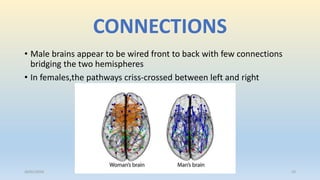 Male Brain Vs Female Brain! | PPTX