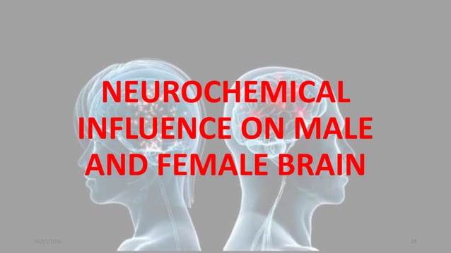 Male Brain Vs Female Brain! | PPTX