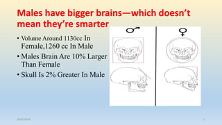 Male Brain Vs Female Brain! | PPTX