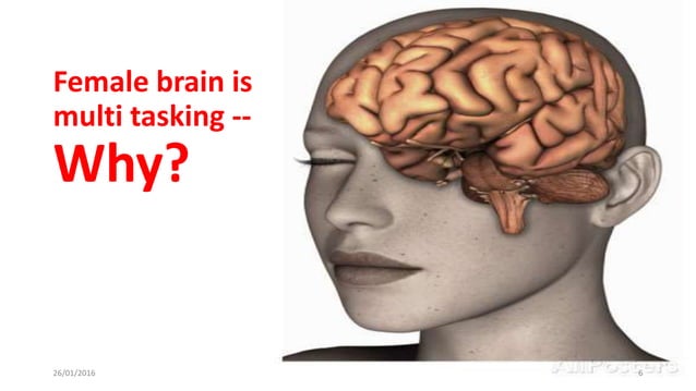 Male Brain Vs Female Brain! | PPTX