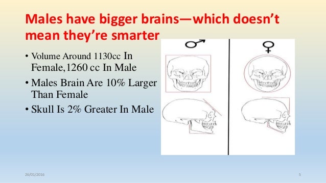 Male Brain Vs Female Brain!