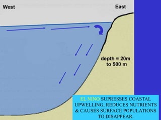 El nino and La nina | PPTX