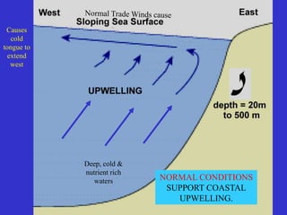 El nino and La nina | PPTX