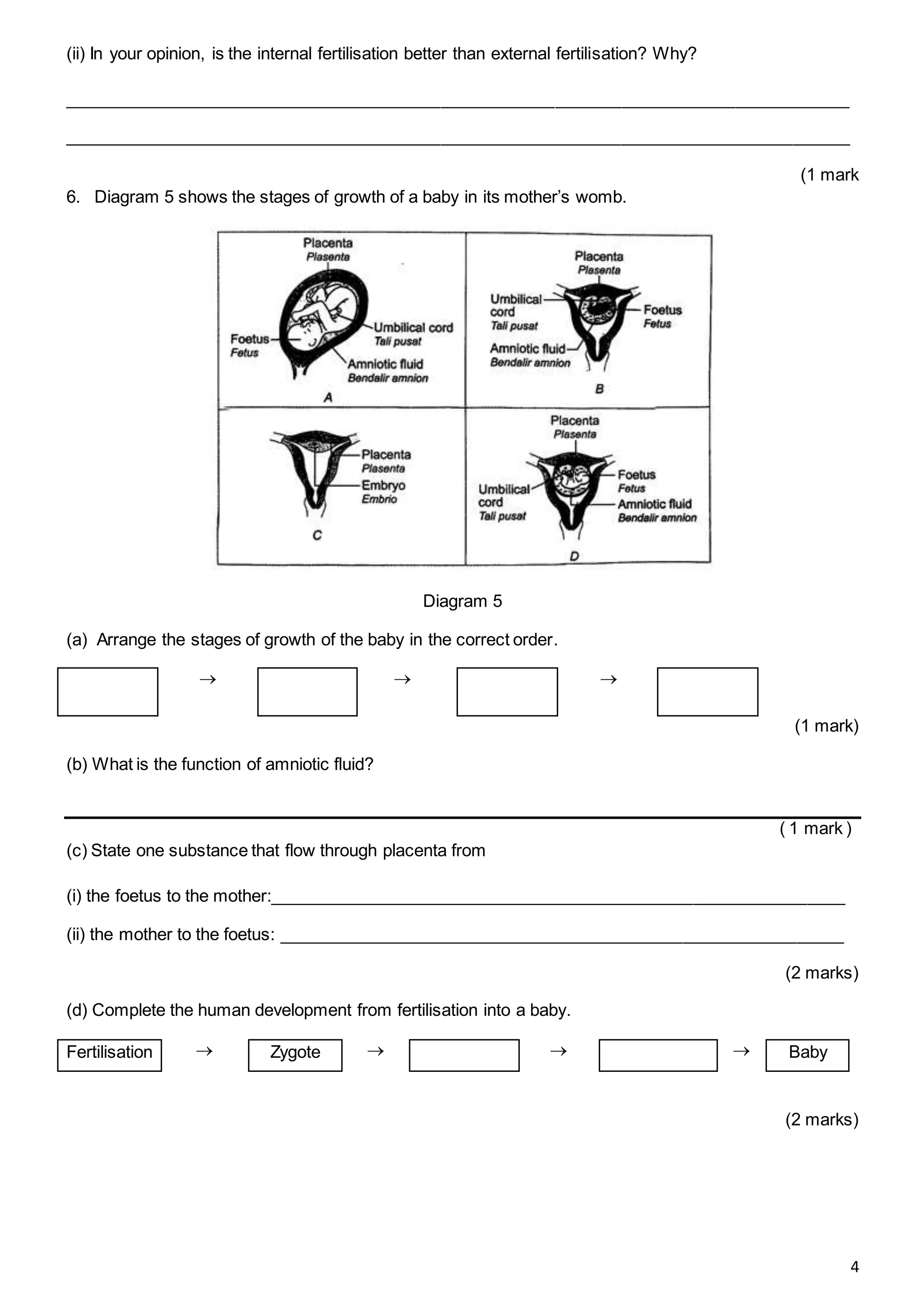 Final Year Examination Form 1 Science Paper | DOCX | Chemistry | Science