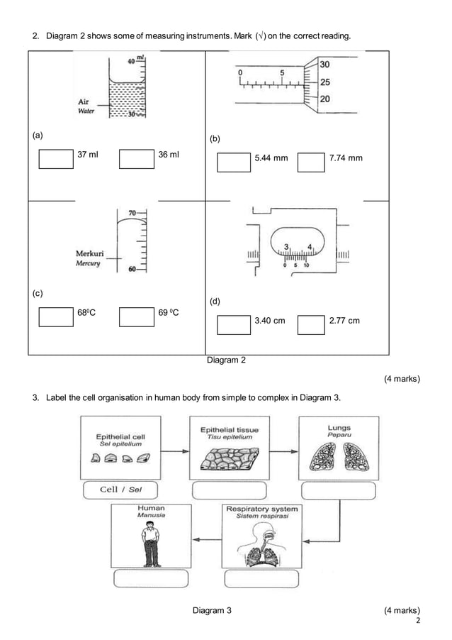 Final Year Examination Form 1 Science Paper
