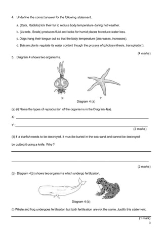 Final Year Examination Form 1 Science Paper | PDF