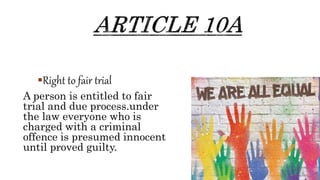Human rights article in 1973 constitution | PPTX
