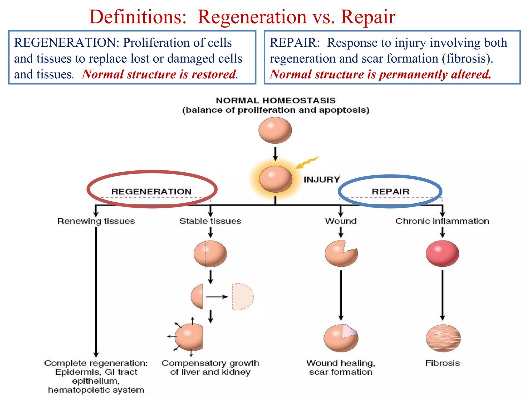 Final 27 aug seminr | PPT