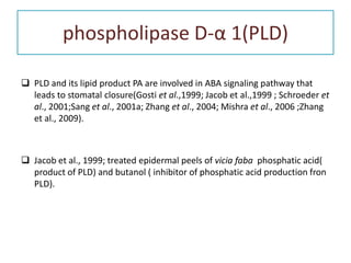 ( Dissertation) Abscisic acid signaling in guard cell movement. | PPTX