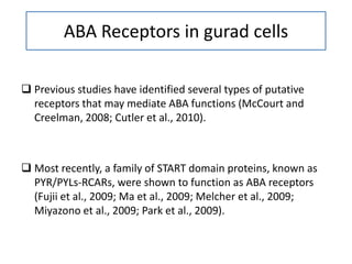 ( Dissertation) Abscisic acid signaling in guard cell movement. | PPTX