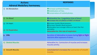 Adrenal gland | PPTX