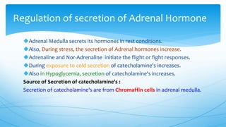 Adrenal gland | PPTX