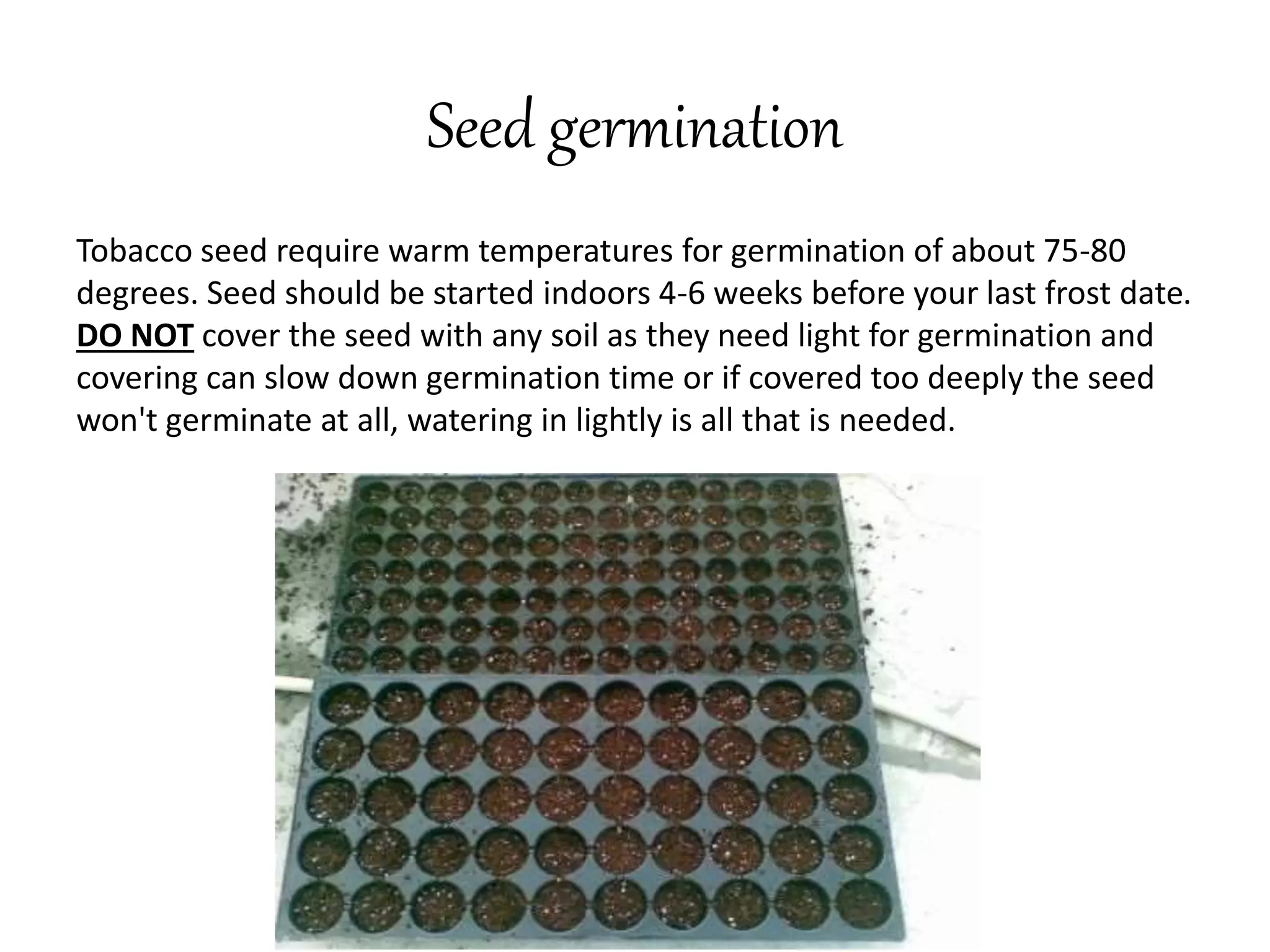 Hybrid seed technology | PPTX