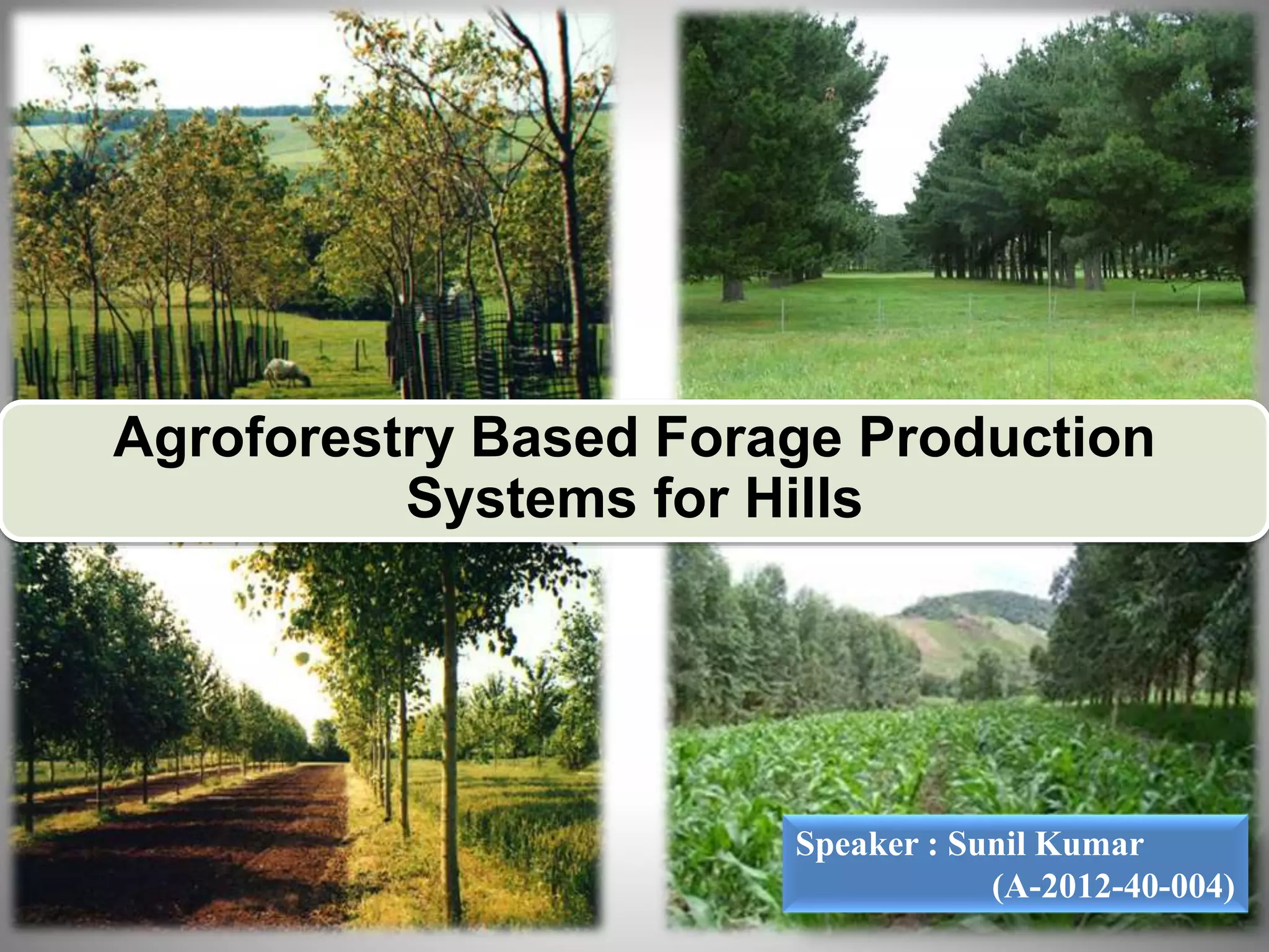Agroforestry based forage production systems for hills | PPTX