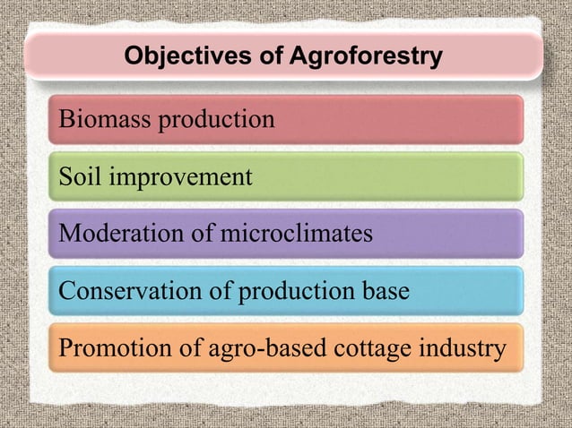 Agroforestry based forage production systems for hills | PPTX ...