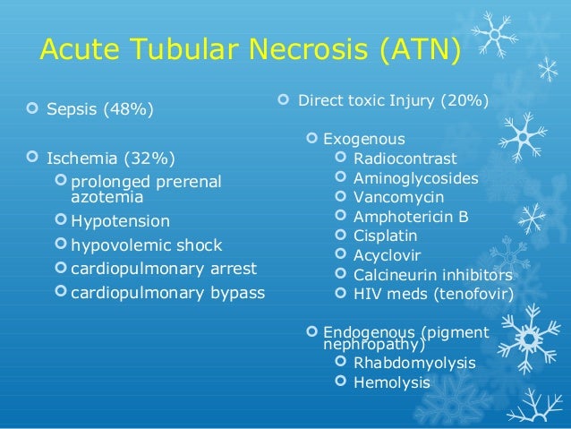 Final aki for im 2014