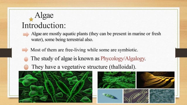 Kingdom Plantae || Division Algae or Thallophyta || Botany Ppt | PPTX