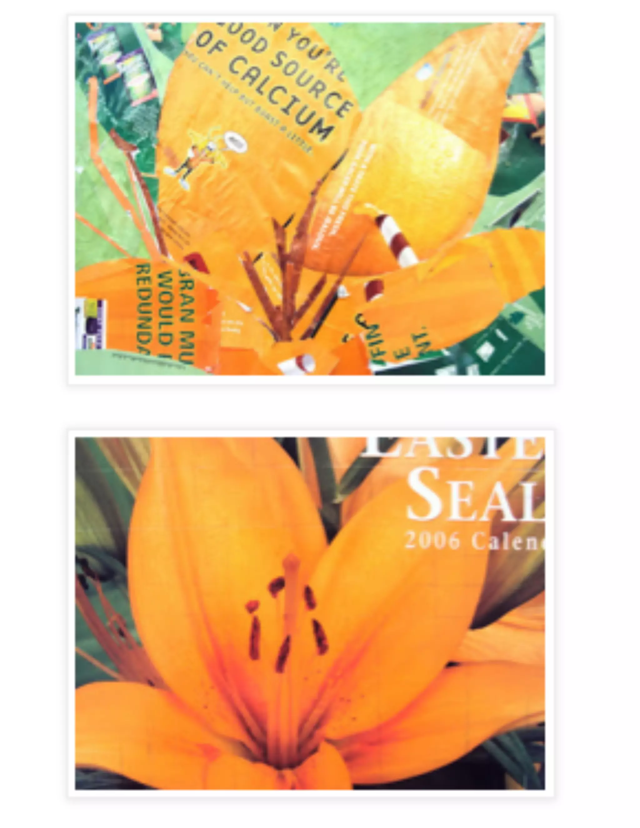 Collage Landscape Examples | PDF