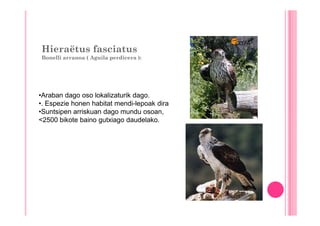 Biodibertsitatea | PDF