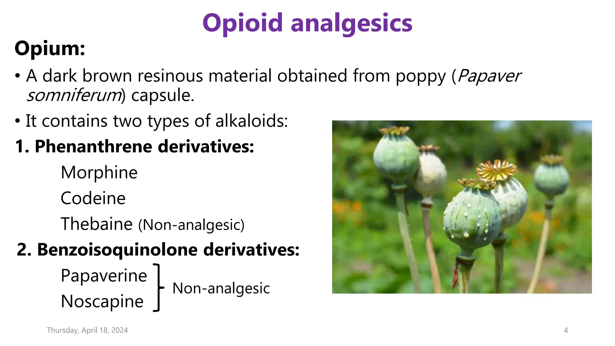 Use of opioid drugs in orofacial pain.pptx