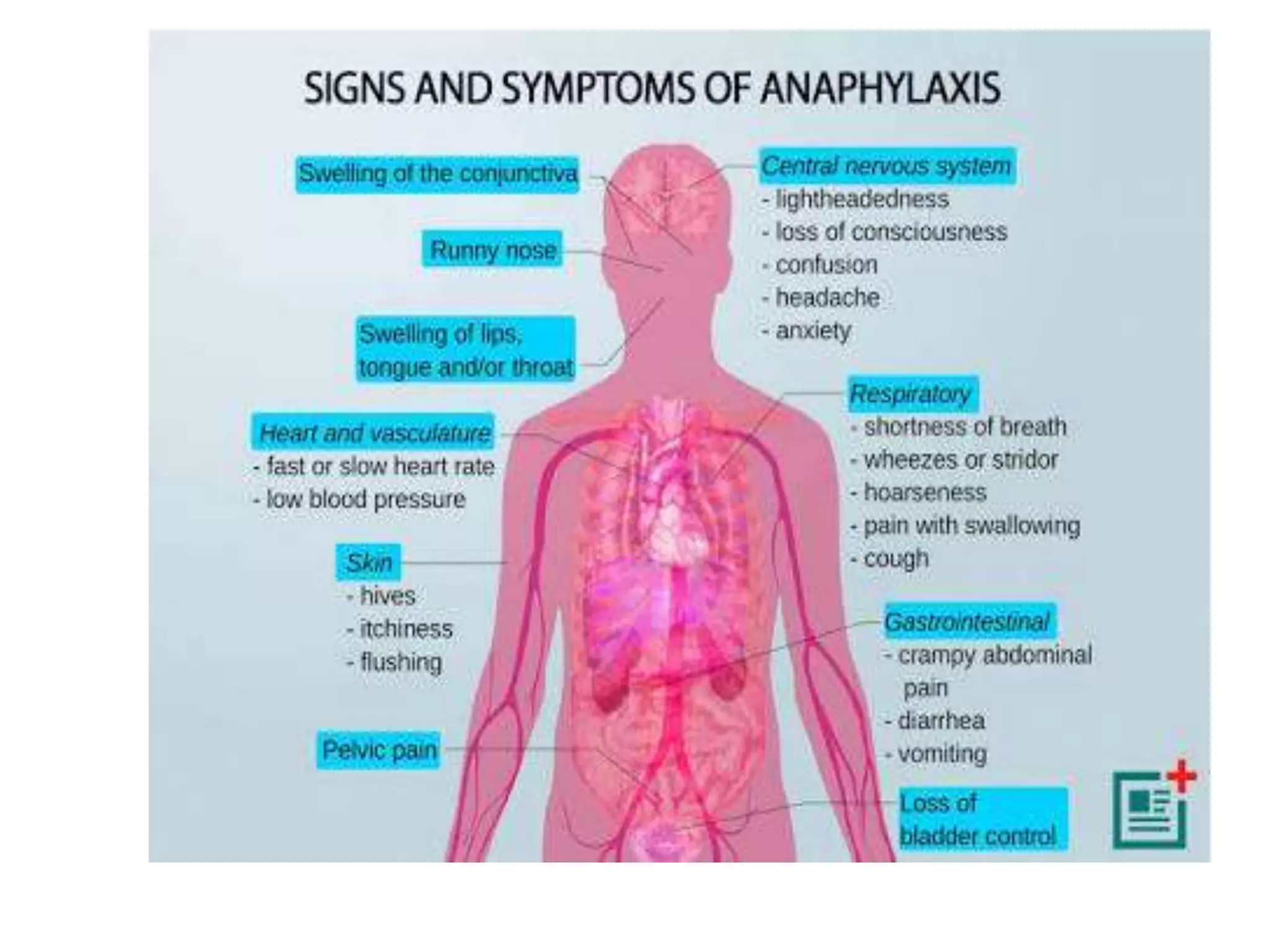 Final anaphylactic reactions and anaphylactic shock | PPTX