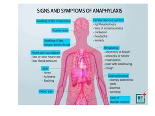 Anaphylaxis Shock