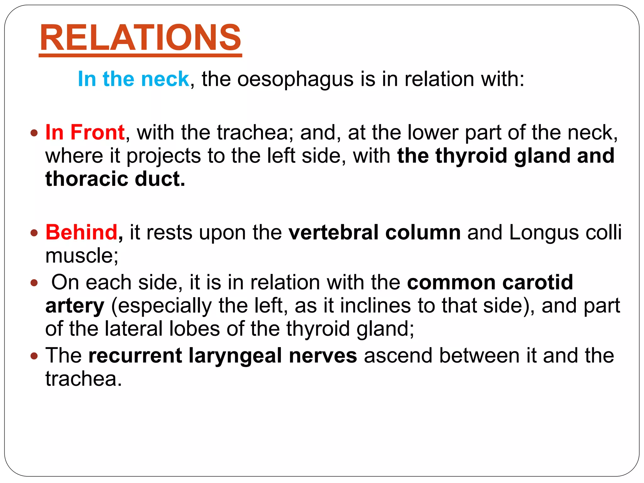 final anatomy of esophagus.pptx