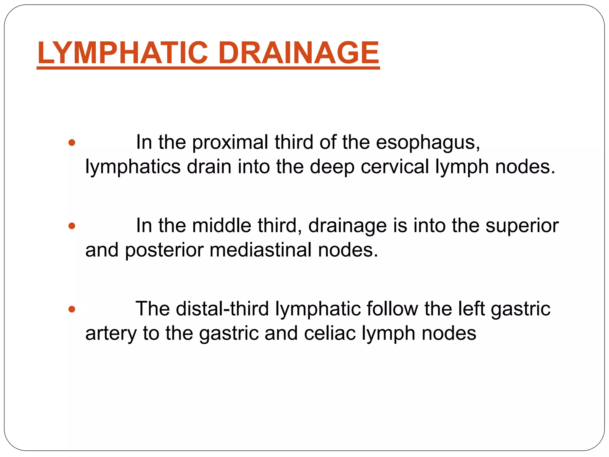 final anatomy of esophagus.pptx