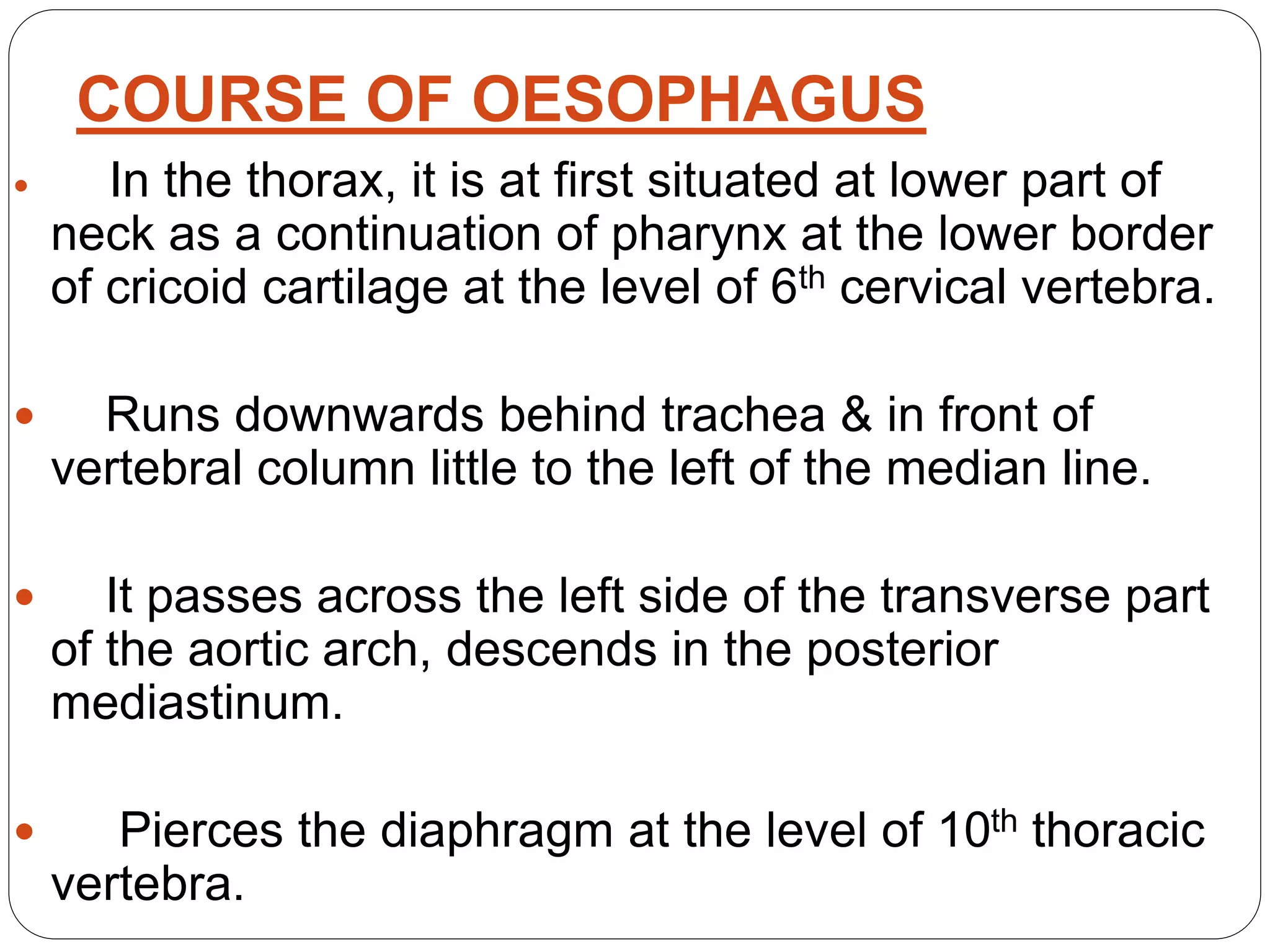 final anatomy of esophagus.pptx