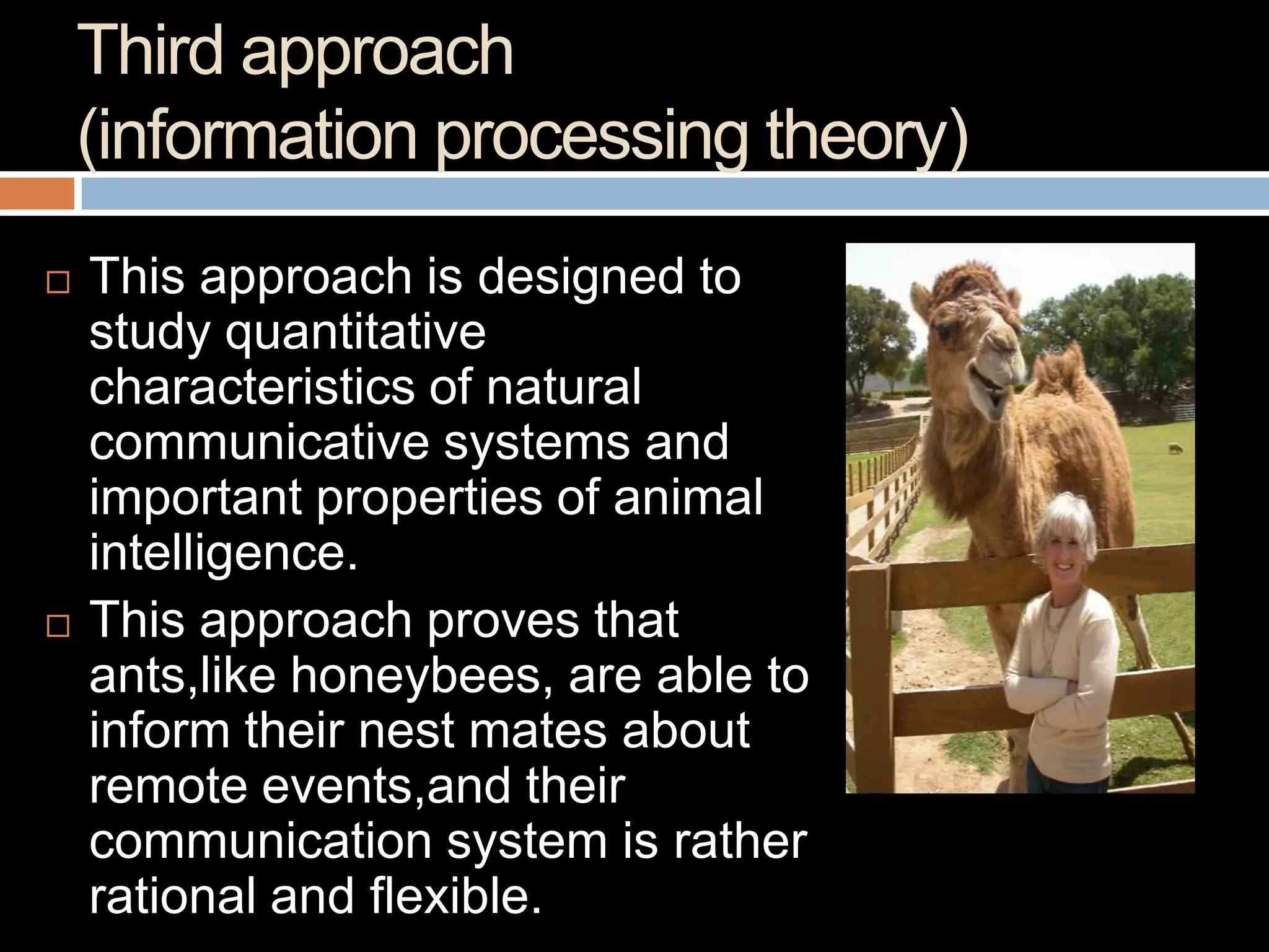 Animals Communication | PPTX