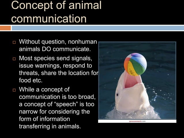 Animals Communication | PPTX