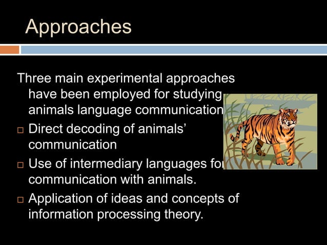 Animals Communication | PPTX