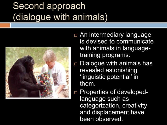 Animals Communication | PPTX