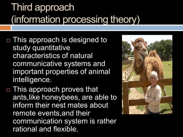 Animals Communication | PPTX