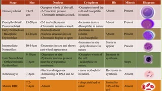 Erythropoiesis and reticulatocyte countppt.pptx