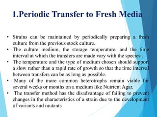 ANKIT PPT ON BACTERIAL PRESERVATION | PPTX