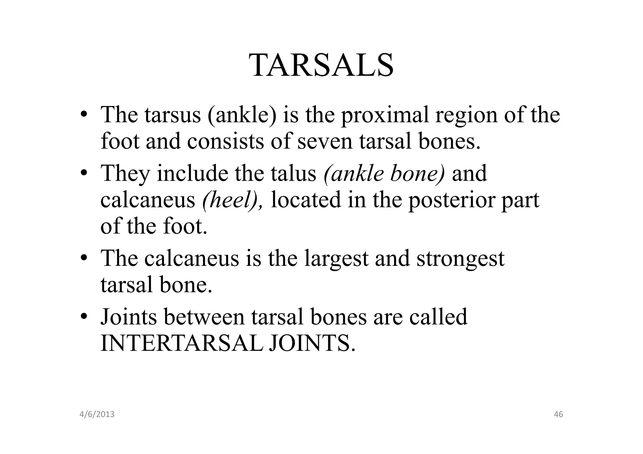 Final apendicular skeleton (lower limbs). | PDF